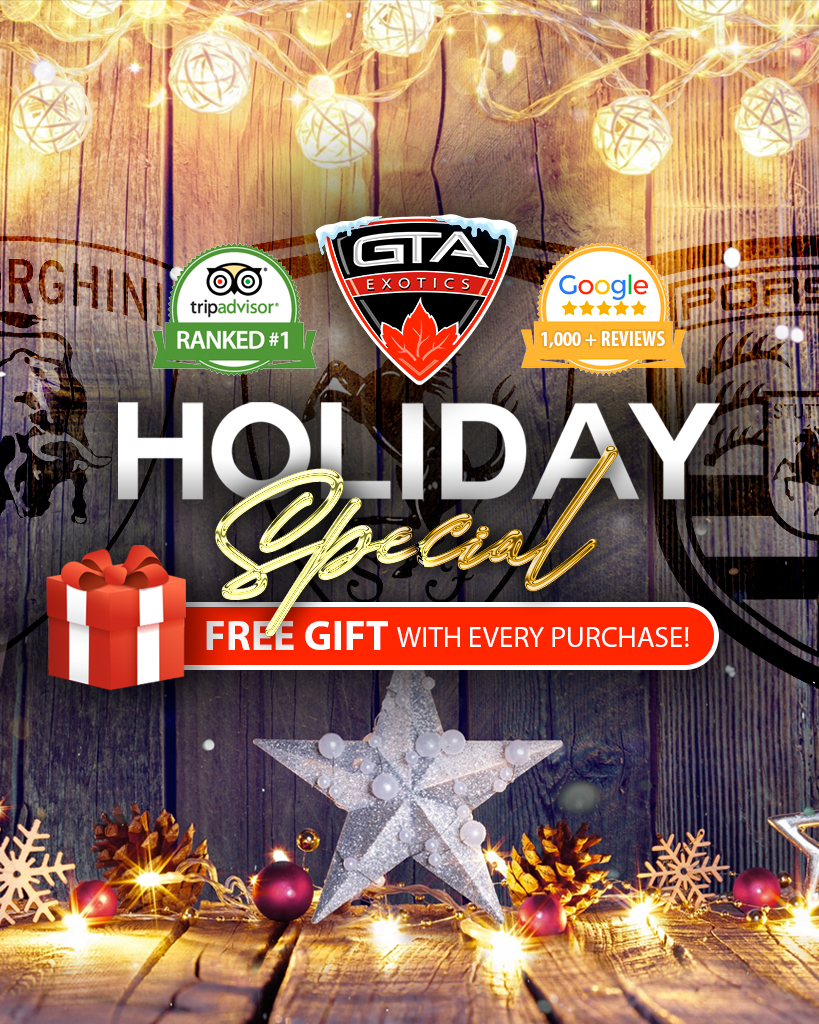 GTA Exotics - Toronto Exotic Car & Supercar Experiences, Rentals, & Tours